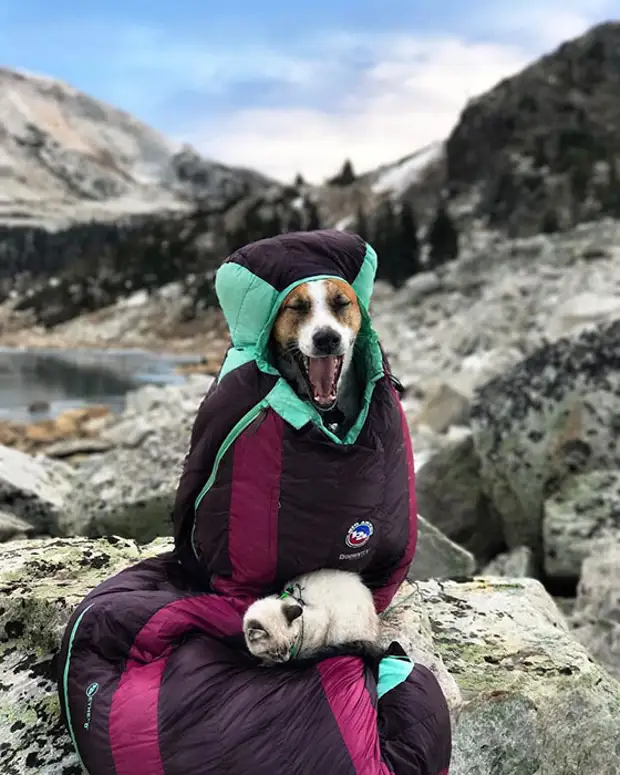 La misma sensación cuando llegó el lunes por la mañana. Instagram henrythecoloradodog.