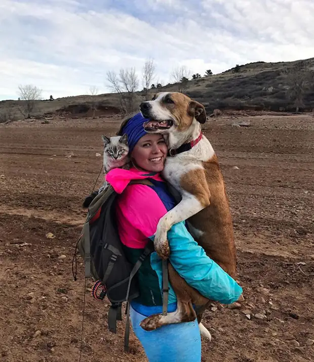 Cynthia lemmikkiensä kanssa. Instagram henrythecoloradodog.