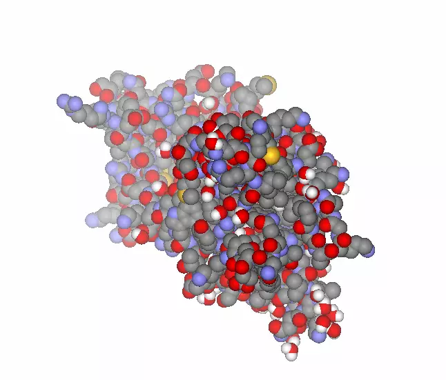 Wat se behannelje ús mei: Cerebrolysin. Wêr sette se it baarch?