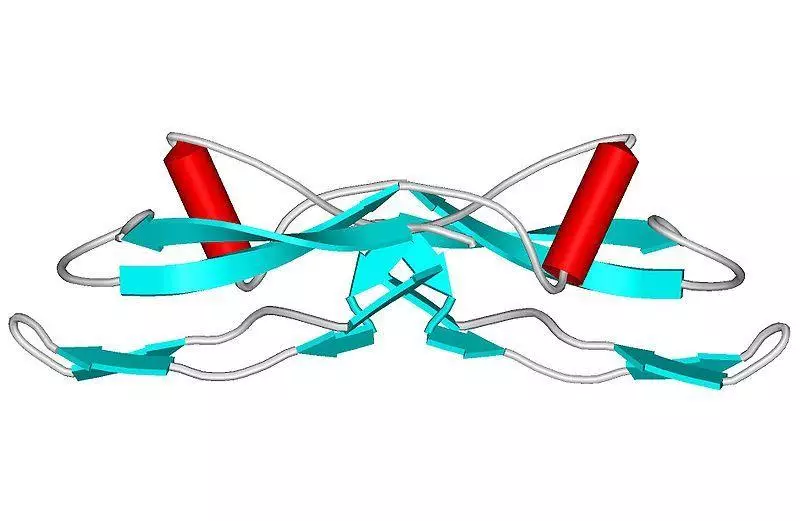 Wat se behannelje ús mei: Cerebrolysin. Wêr sette se it baarch?