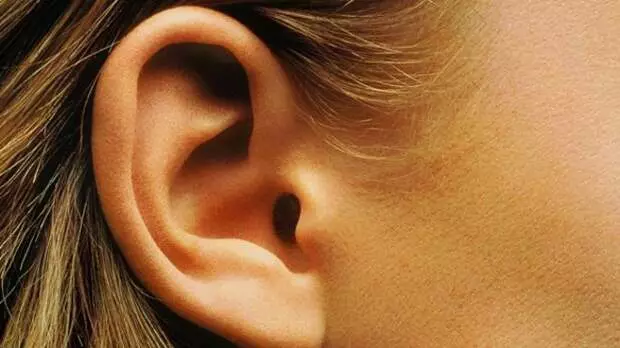 Earwax riddles: why do we need it?