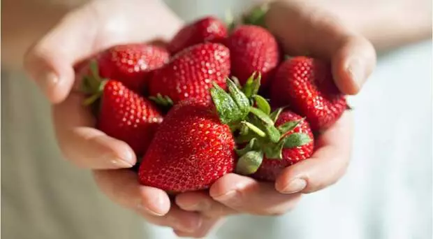 Maasikate kahju ja kasu. Kuidas maasikaid süüa
