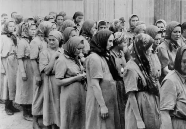 Gisella Pearl: ny zava-bitan'ny mpampivelona avy any Auschwitz