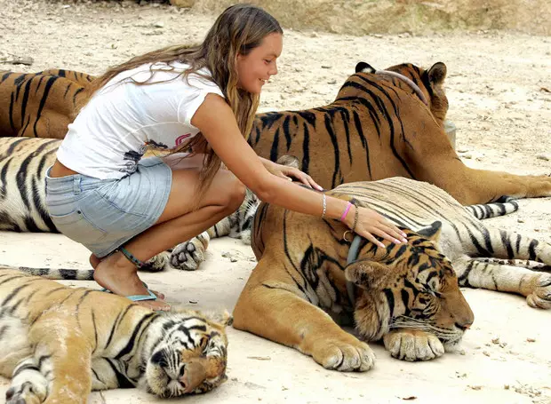 Foto n. 3 - 5 Fraintendimenti popolari sugli animali in cui tutti credono