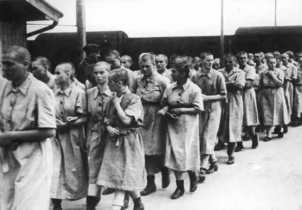 Ibe akụkọ ihe mere eme na-atụ egwu: ụlọ akwụna na Auschwitz brothel, agha, WWII, ndị mkpọrọ, akụkọ ihe mere eme, ogige ịta ahụhụ, Auschwitz, ịgba akwụna