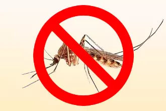 哪些蚊子更危险