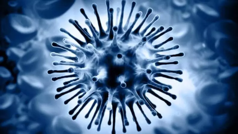 Virus dell'influenza