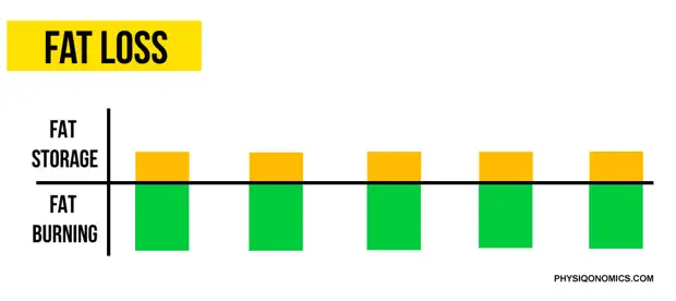 このインターネット全体で最高の減量ガイド。パート2：サプリメント、ダイエットの調整、エクササイズとよくある質問