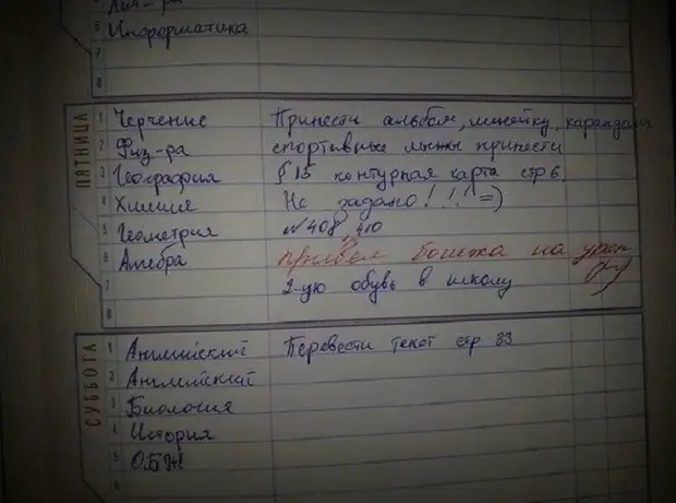 Мектеп күнделіктеріндегі күтпеген 30 жазба