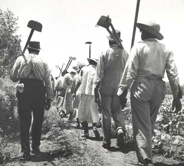 Den mørke sandhed om amerikanske slaver efter befrielsen borgerkrig, historie, fattigdom, afskaffelse af slaveri, slaveri, slaver, USA, udnyttelse