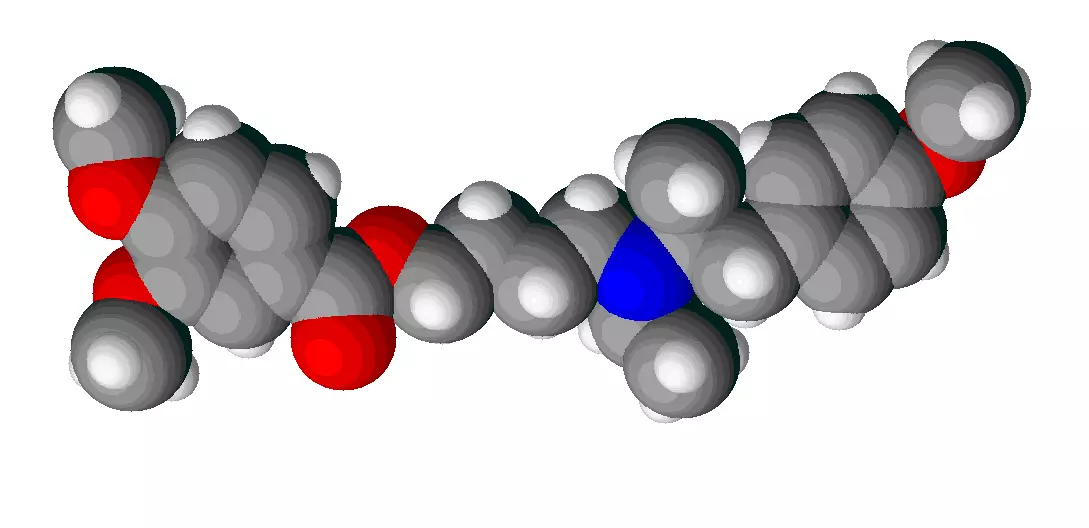 Miten meitä kohdellaan: Duspatalin