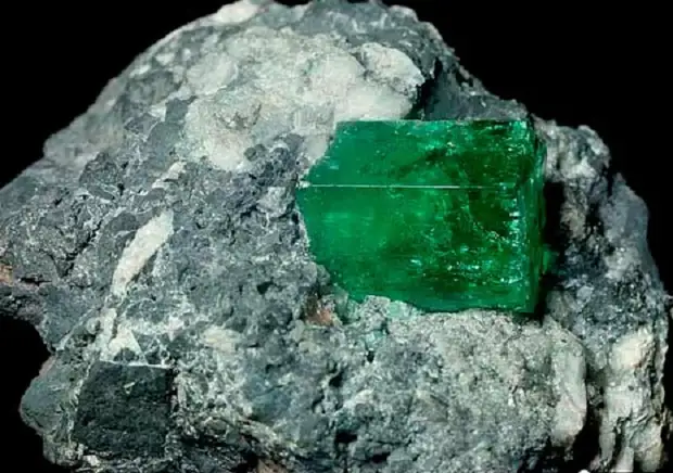 Emerald in vivo