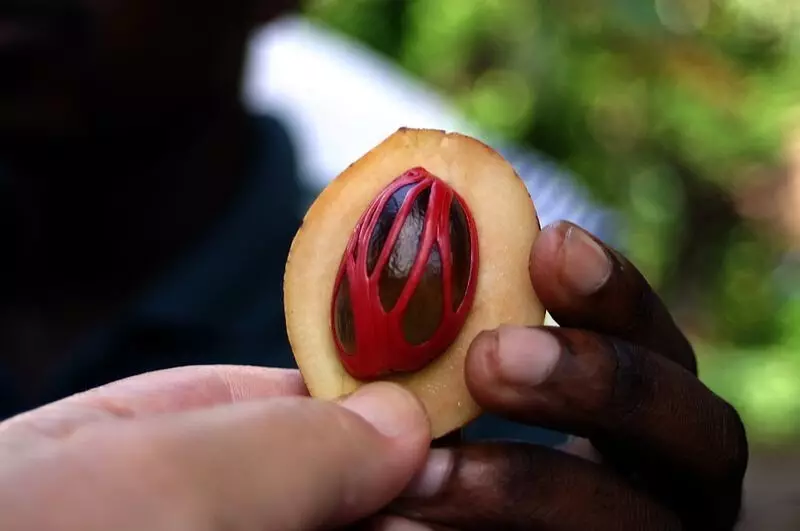 10 mapikicha anoratidza kuti zvimwe zvigadzirwa zvine mukurumbira zvinokura sei