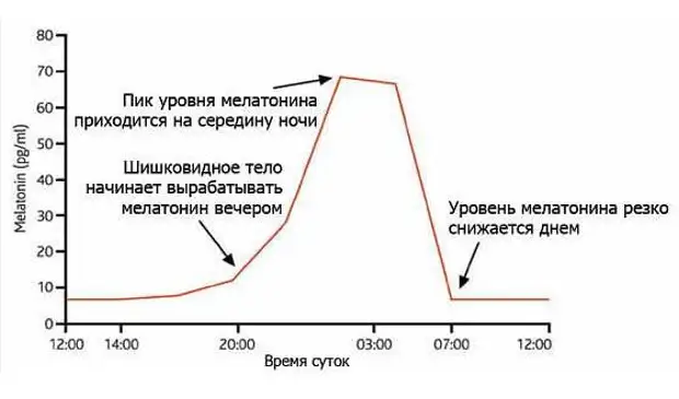 Πώς να ξεκινήσετε το πρωί σας με χαμόγελο: 19 χρήσιμες συμβουλές