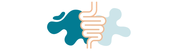 Why is your stomach rumbling with hunger? Where do gases come from? Shameful questions about the gut