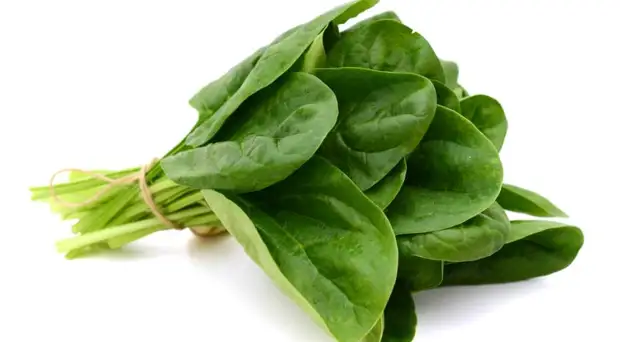 9 foods high in iron