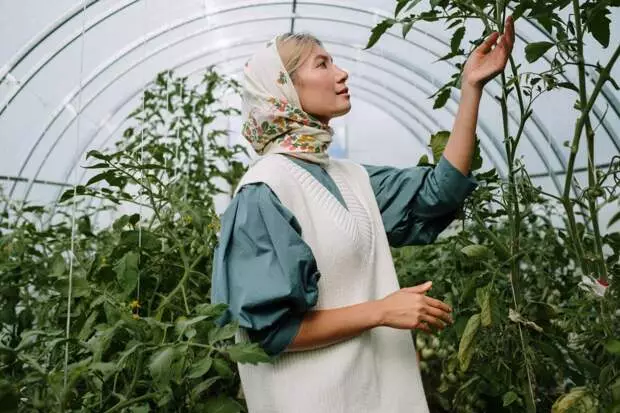 A jövő ételei: Öt ígéretes induló vállalkozás a fenntartható táplálkozásért