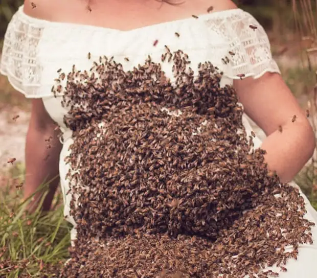 Một cô gái mang bầu đã sắp xếp một buổi chụp ảnh với 20 nghìn con ong