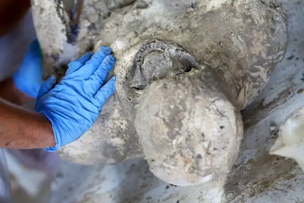 Hoe die inwoners van Pompeii gesterf het