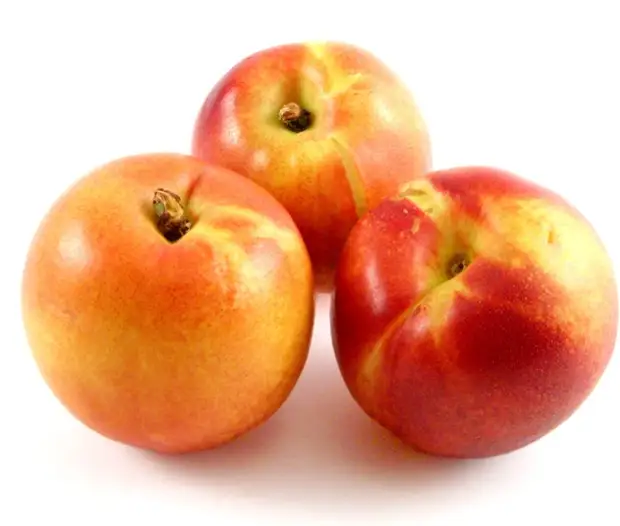 სურათები მოთხოვნით NECTARINES