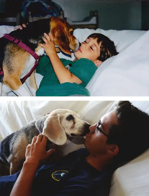 Herz bricht: die ersten und letzten Fotos der Besitzer mit ihren Haustieren