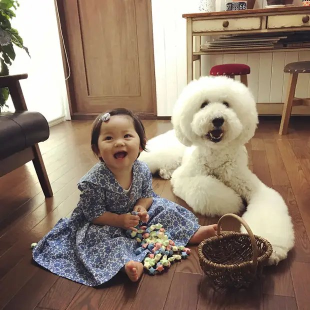 Bà nội của Baby Mom đăng tải trên trang Instagram của mình những bức ảnh hài hước và cảm động nhất về cặp đôi dễ thương này.