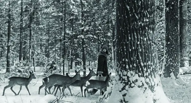 ノロジカの群れを持つシモーネ。写真：レッチ・ウィルチェク