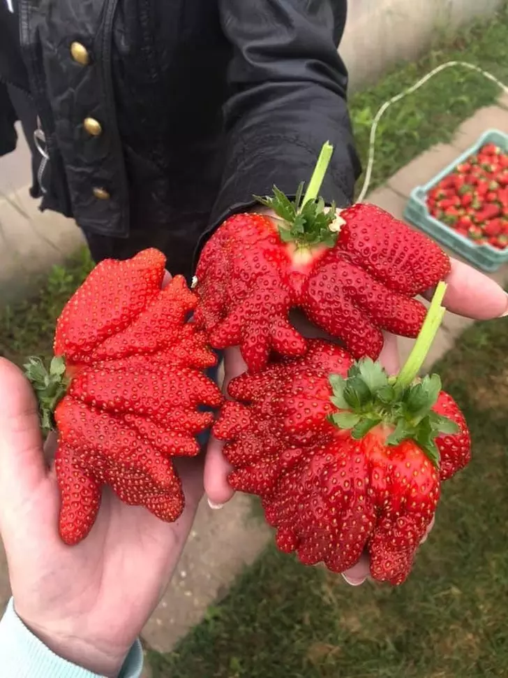 20 tipikus példa arra, hogy a méret néha meglephet téged