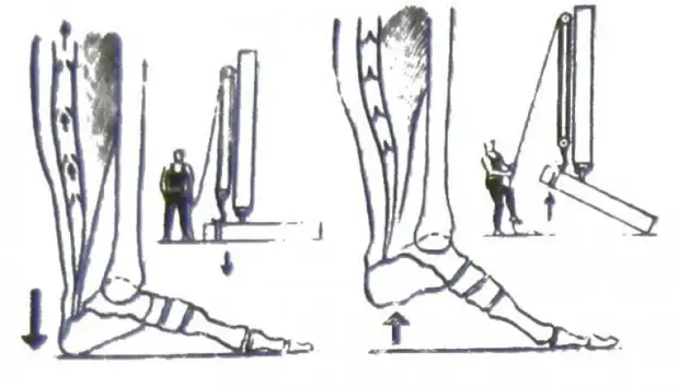 Mirakla vibrogimnastiko de akademiano Mikulin