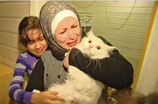 แมวหาย กลับคืนสู่ครอบครัวผู้ลี้ภัยชาวอิรัก ข้ามครึ่งโลก
