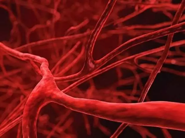 Kako okrepiti krvne žile