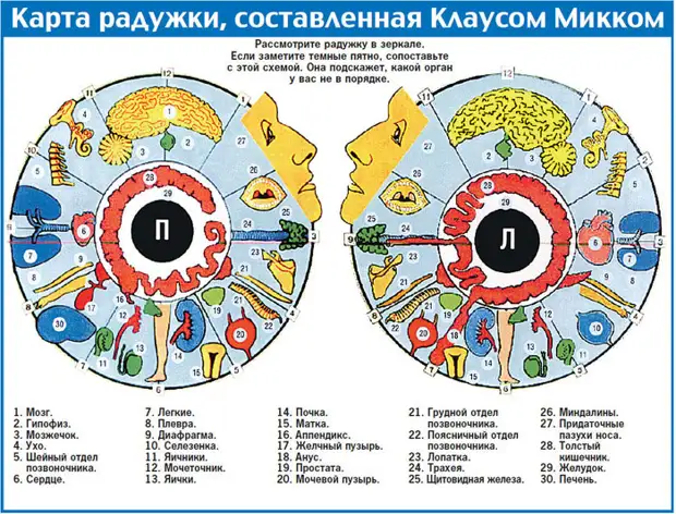 иридология