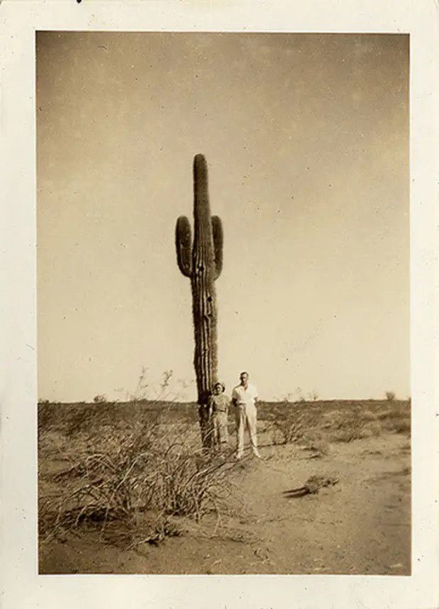 Ilẹ-ilẹ ti agbegbe jẹ ti fomi nipasẹ cactus kan ti o dawa ati tọkọtaya kan.