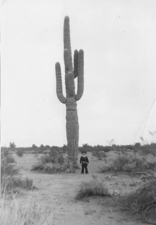 Ti a fiwera si cactus, eniyan dabi ẹni pe o kere pupọ.