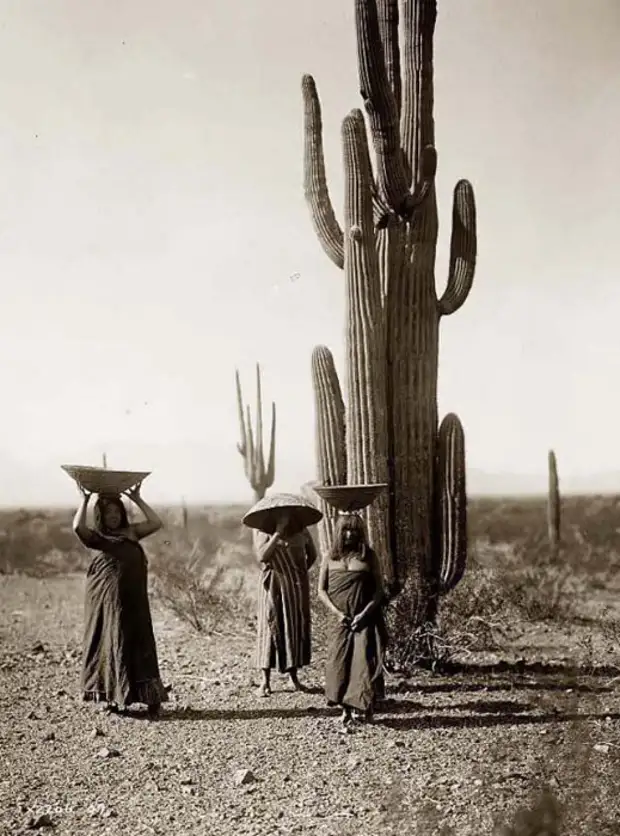 O exotismo do vasto deserto.