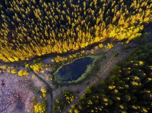 16 fotogrāfijas par savvaļas dzīvniekiem - visvairāk neizpētīto, kas ir uz Zemes