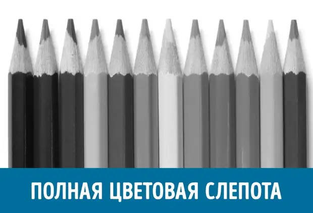 Як бачать світ люди з різними формами дальтонізму