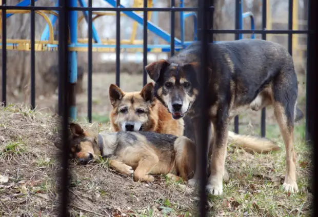 Sinesteari utzi behar diozun amorruari buruzko 10 mito arruntak