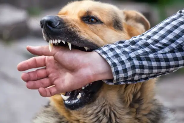 Sinesteari utzi behar diozun amorruari buruzko 10 mito arruntak