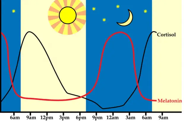 Melatonin: den Hormon vu Jugend a Schéinheet