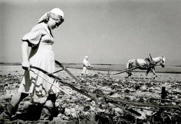 9 May, İkinci Dünya Müharibəsi, Qələbə Günü ilə bağlı müharibə veteranlarının ən parlaq xatirələri