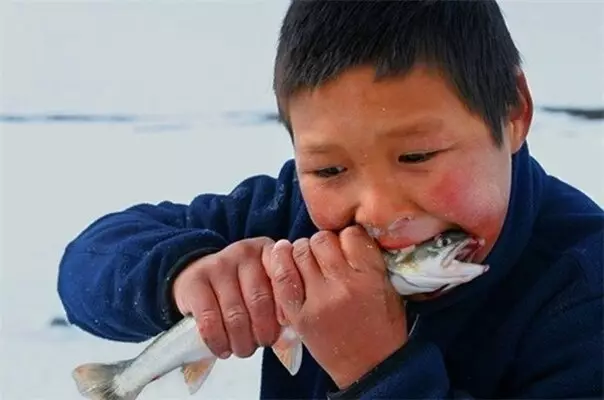 Una dieta de alimentos crudos para los pueblos del Extremo Norte, no un tributo a los pasatiempos de moda de estilo de vida saludable, sino una dura necesidad. Pero gracias a esta dieta, los dientes reciben el máximo de minerales esenciales y se mantienen sanos. (foto de Internet)