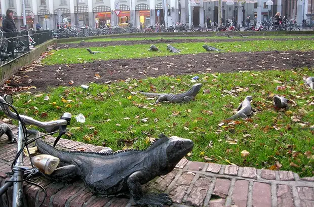 Amsterdam bog'ida to'siqlar va gulzorlar orasida sudralib yurgan soxta iguanalarning haykallari mavjud.