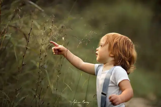 Fotografer ngarebut usum panas idyllic putrana