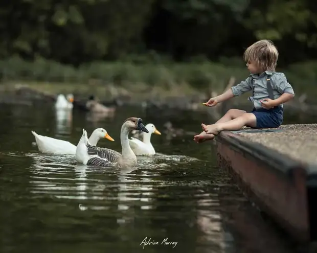 Fotograaf vang sy seuns se idilliese somer vas