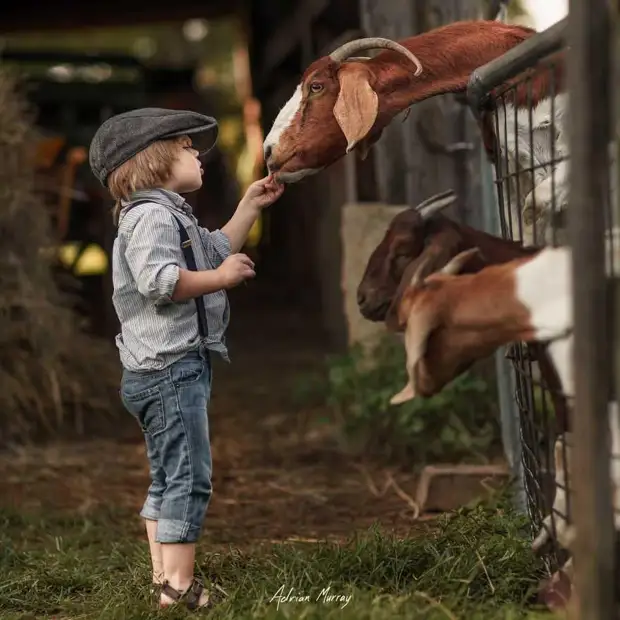 Onye na-ese foto na-ese foto na-adịghị mma nke ụmụ ya nwoke