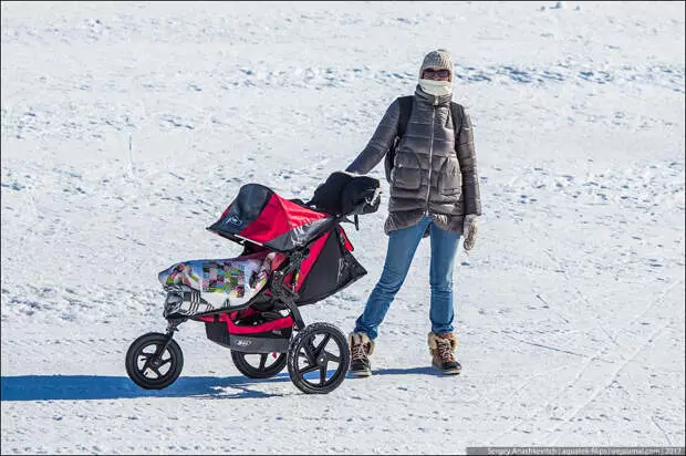 Ses trajtoj de gepatrado en Norvegio