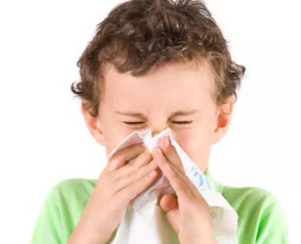 Traitement de la rhinite allergique avec des remèdes populaires à la maison 2020