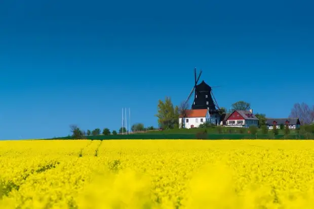 Como a primavera chega em diferentes partes do planeta