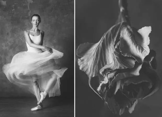 "Ballerina i flors" - una sèrie sobre la similitud de dues gràcia